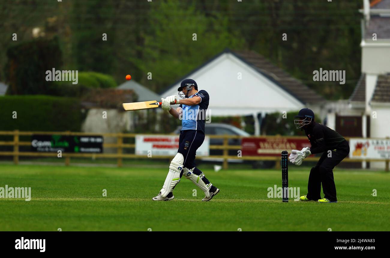 Bronwydd cc hi-res stock photography and images - Alamy