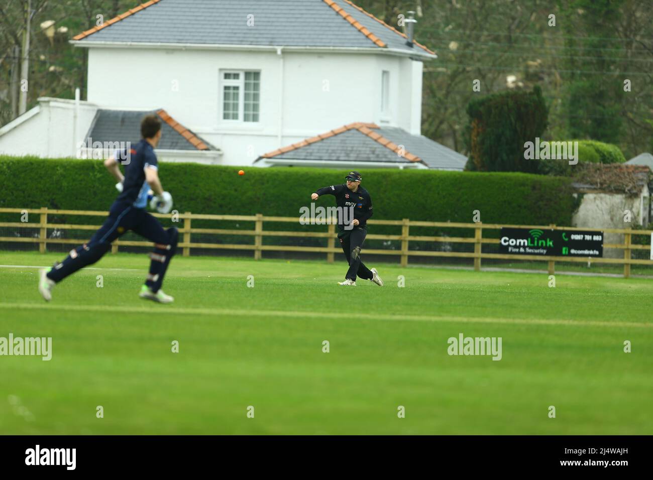 Bronwydd cc hi-res stock photography and images - Alamy