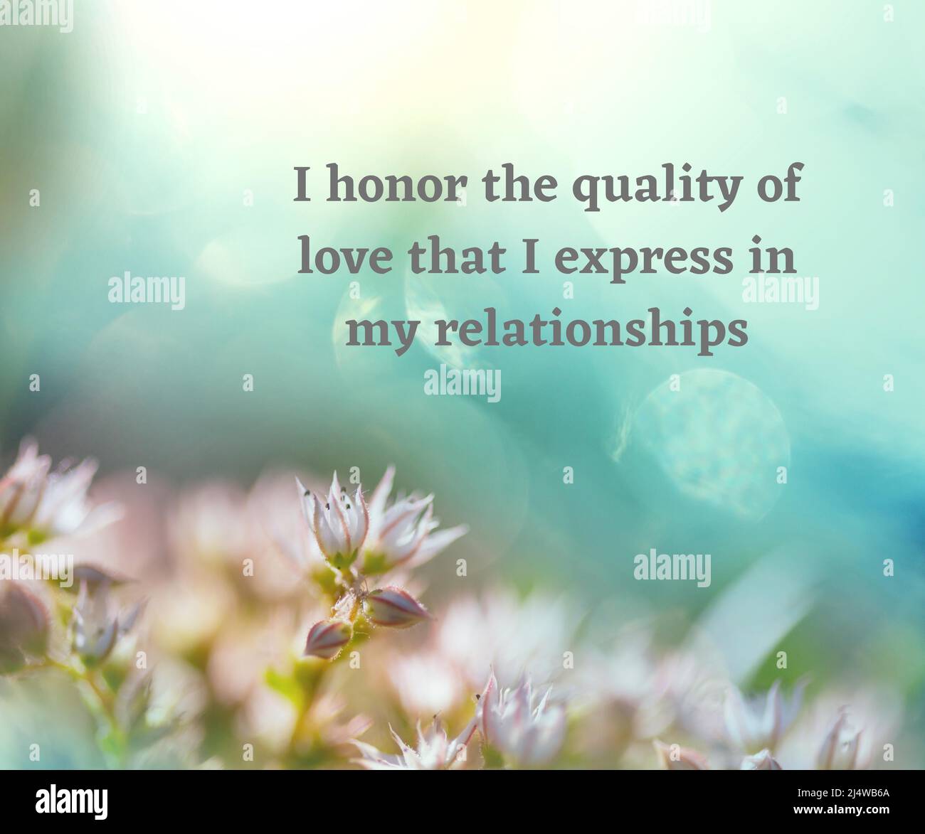Trust Quotes For Love Relationships