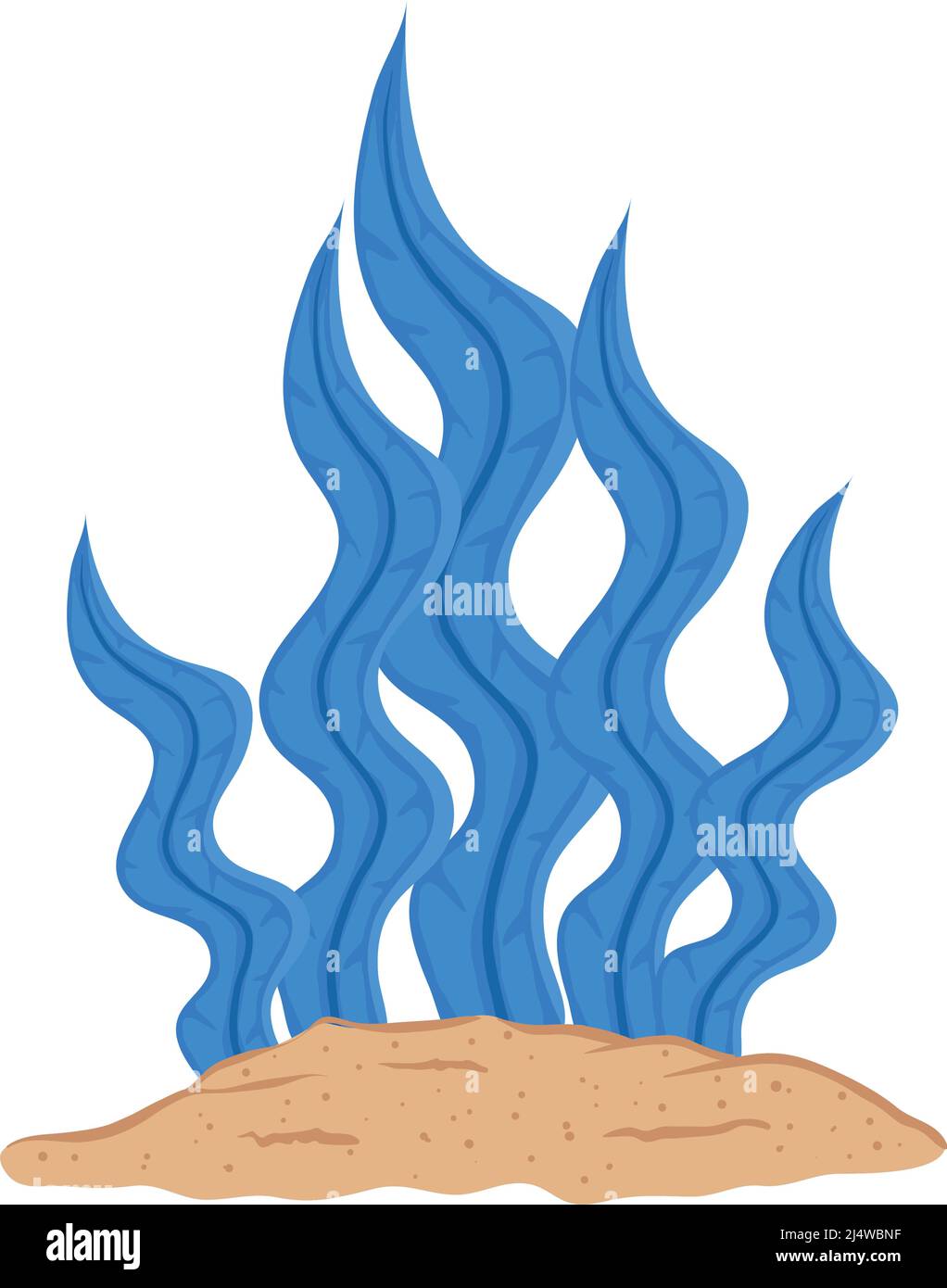 blue seaweed plant Stock Vector Image & Art - Alamy
