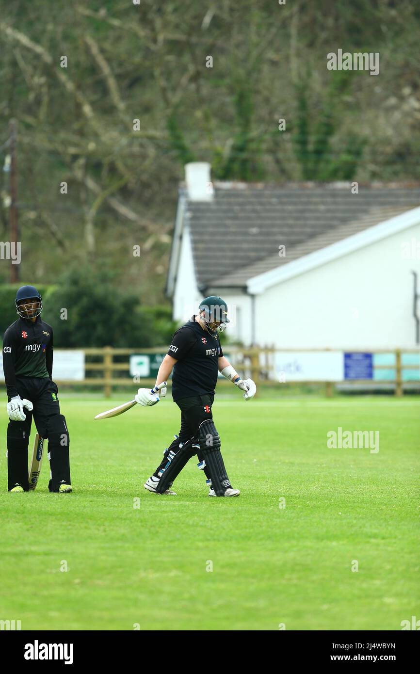 Bronwydd cc hi-res stock photography and images - Alamy