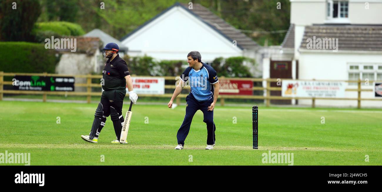 Bronwydd cc hi-res stock photography and images - Alamy