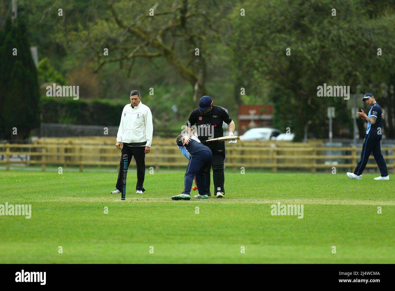 Bronwydd cc hi-res stock photography and images - Alamy