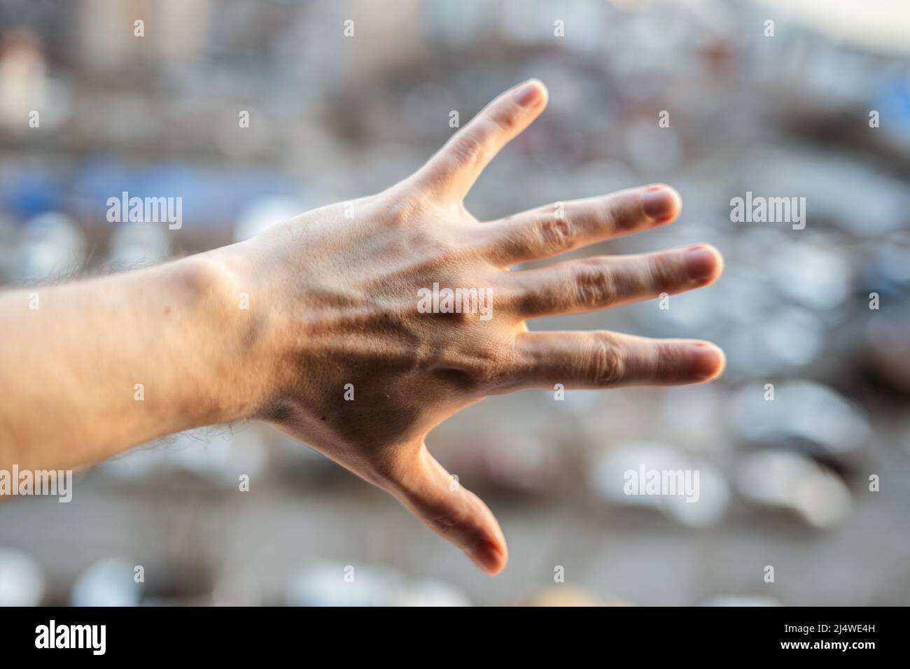 Hand of a man reaching to towards sky Stock Photo - Alamy
