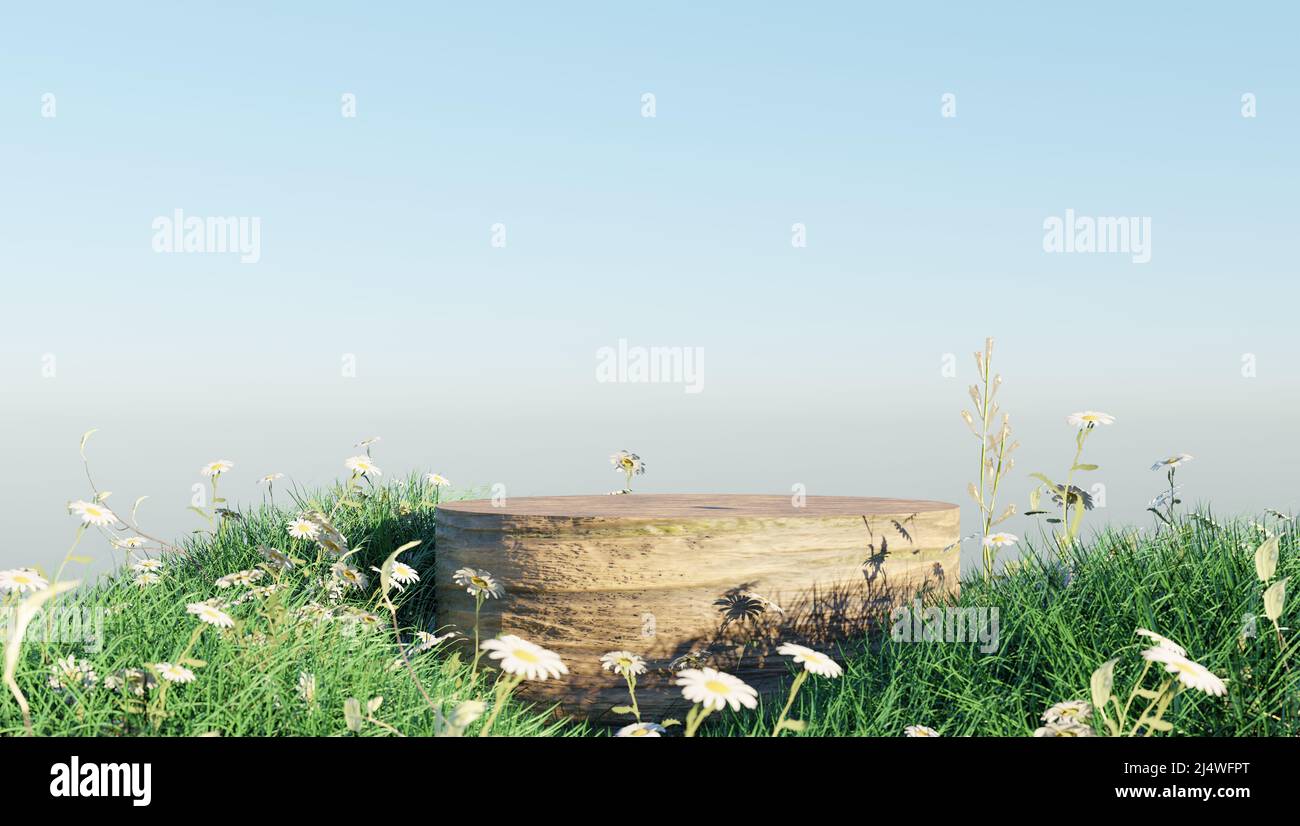 3d rendering of stone podium and grass Stock Photo - Alamy