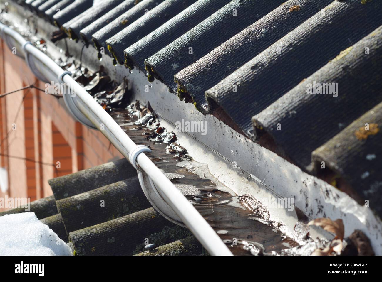 Roof gutter cleaning in spring. A close-up of a dirty clogged roof ...