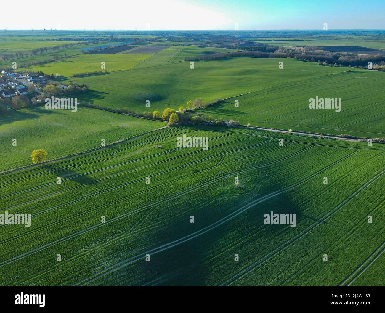 Mallnow, Germany. 17th Apr, 2022. The low evening sun casts long ...