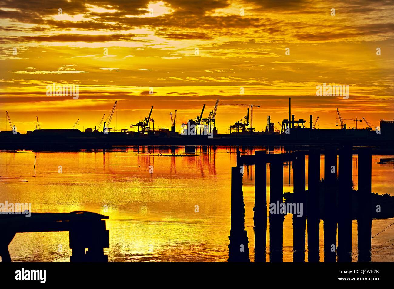 Gru marina hi-res stock photography and images - Alamy