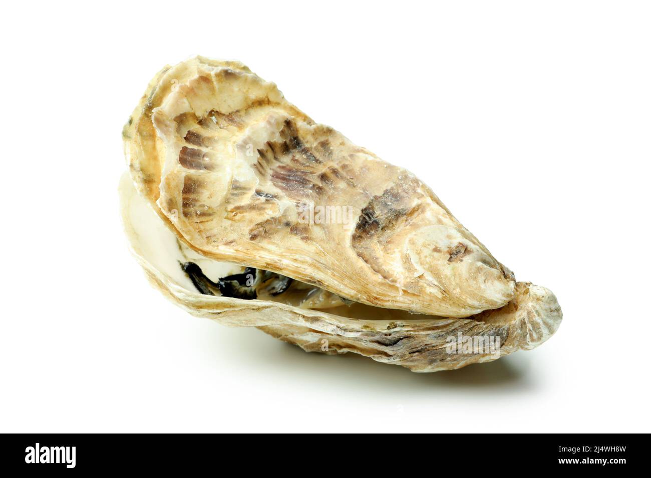 Fresh seafood on street Cut Out Stock Images & Pictures - Alamy