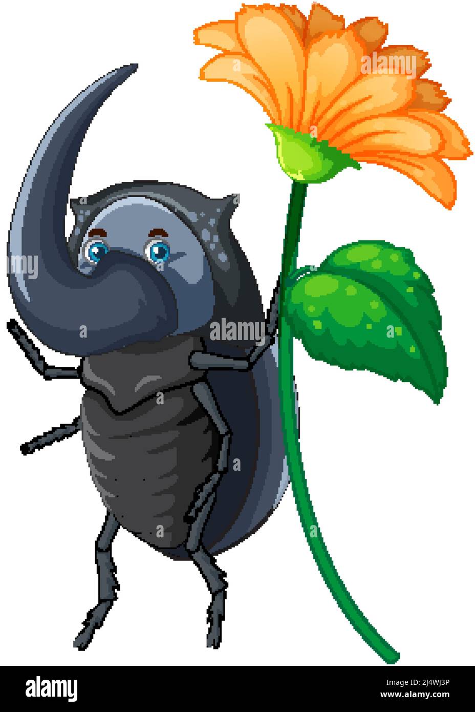 A beetle cartoon character isolated illustration Stock Vector Image ...