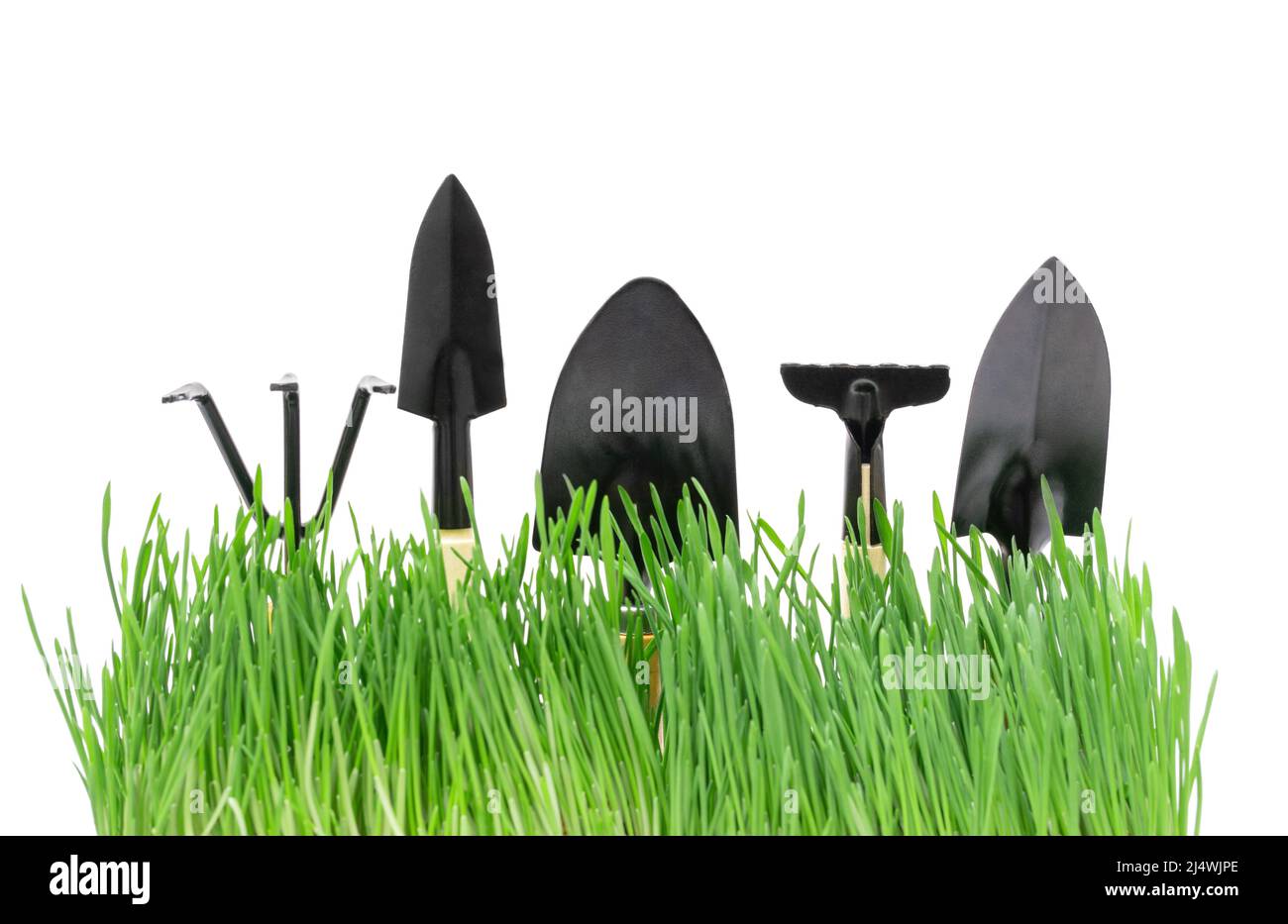 Miniature copies of essential gardening tools arranged behind a bush of ...