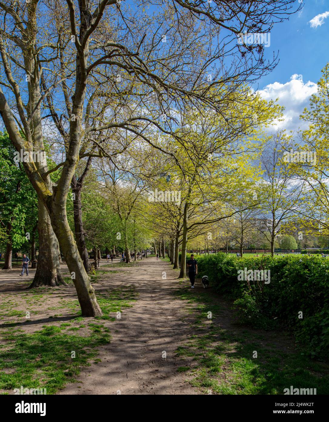 Holland park london spring hi-res stock photography and images - Alamy