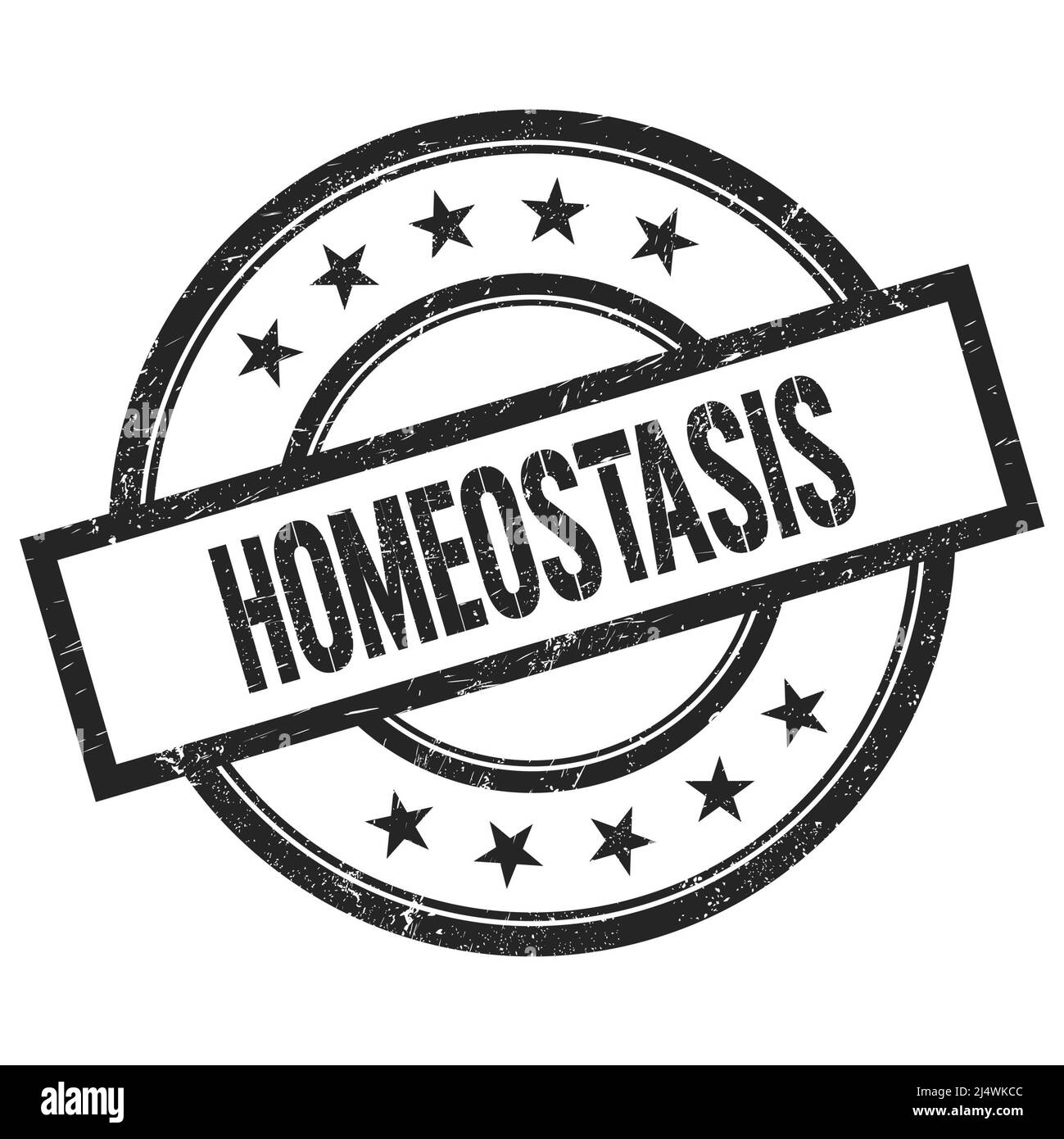 HOMEOSTASIS text written on black round vintage rubber stamp Stock ...