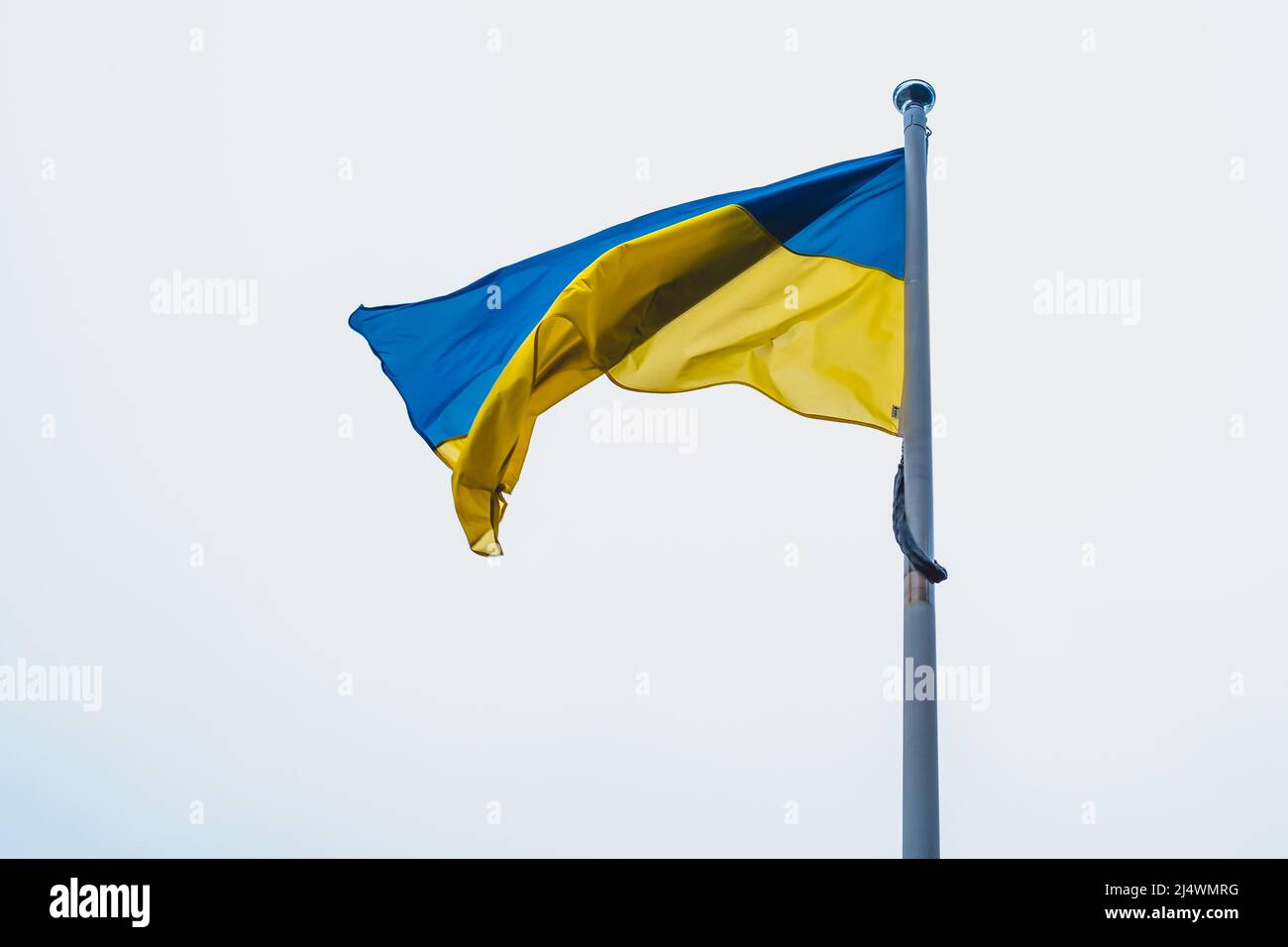 Flag of Ukraine on white sky background. National symbol of freedom and ...
