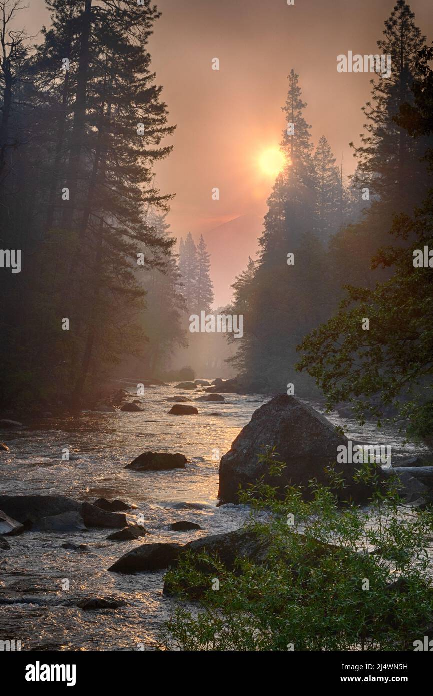 Misty sunrise on the Merced River, in Yosemite National Park, near ...