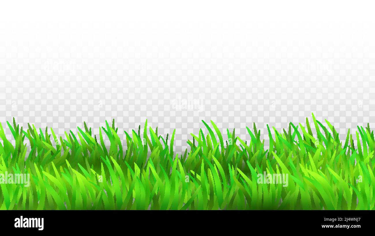 Grass growing outside Stock Vector Images - Alamy