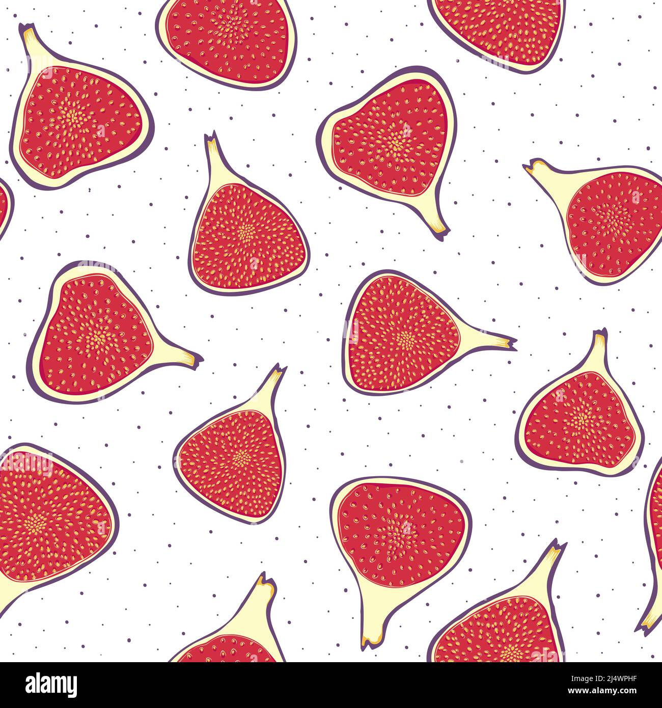 Vector seamless pattern with slised figs. Exotic fruits hand drawn ...