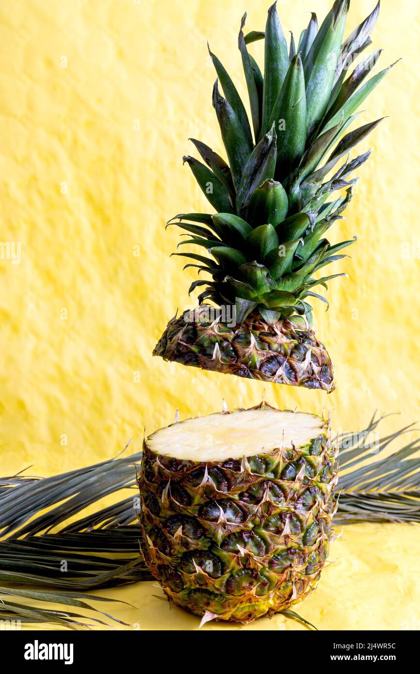 Split palm leaves hi-res stock photography and images - Alamy