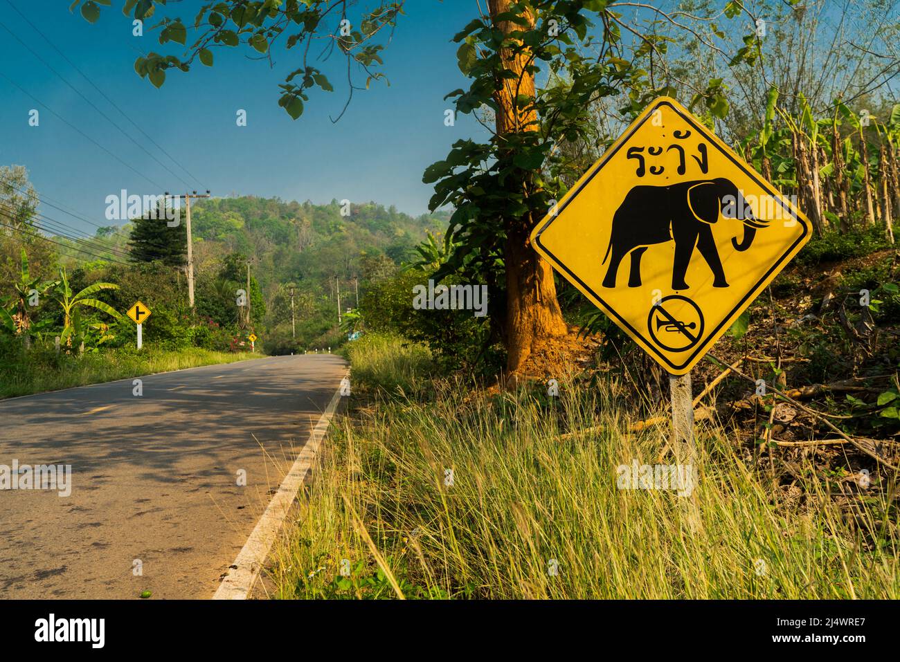 Elephant crossing warning sign hi-res stock photography and images - Alamy
