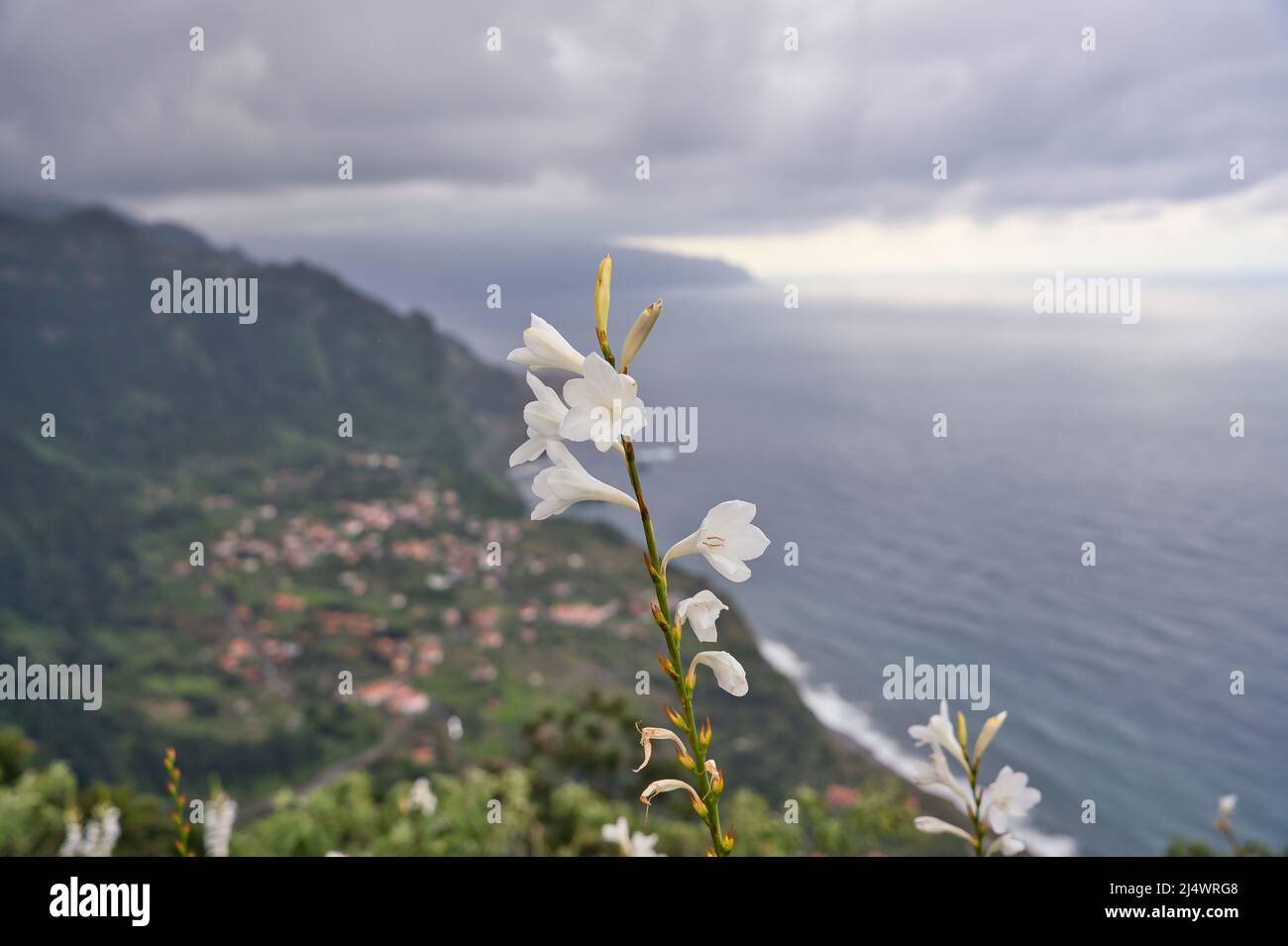 A beautiful scenic view of the coast and mountains of Madeira. Clouds ...