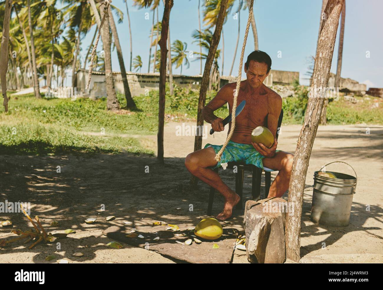 Old man selling coconut at the coconut farm on the way. Selective Focus ...