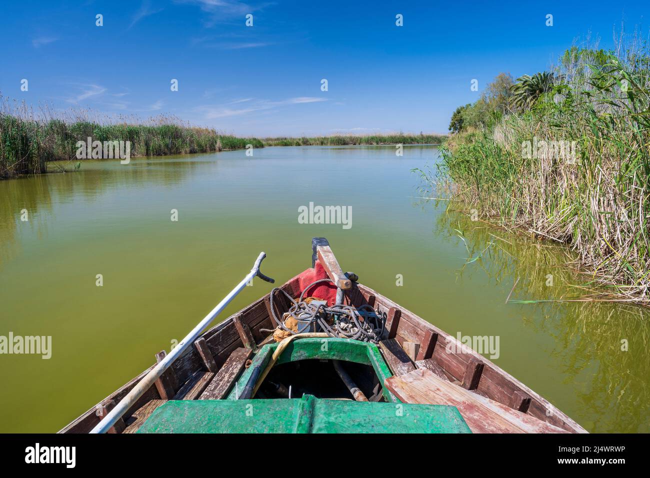 Water canal, Albufera Natural Park, El Palmar, Valencian Community ...