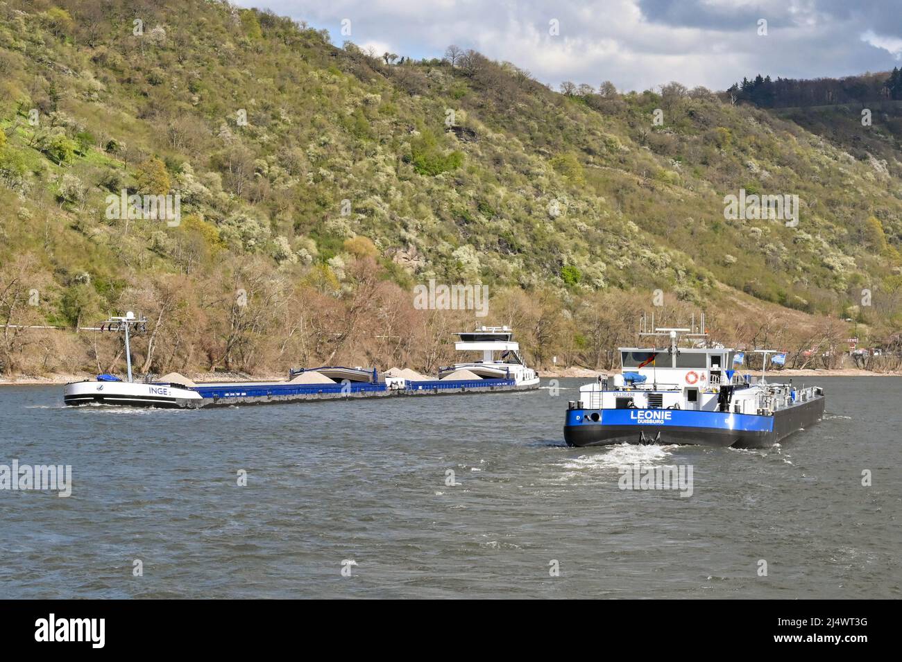 Rhine River, Germany – April 2022: Industrial barges passing on the ...