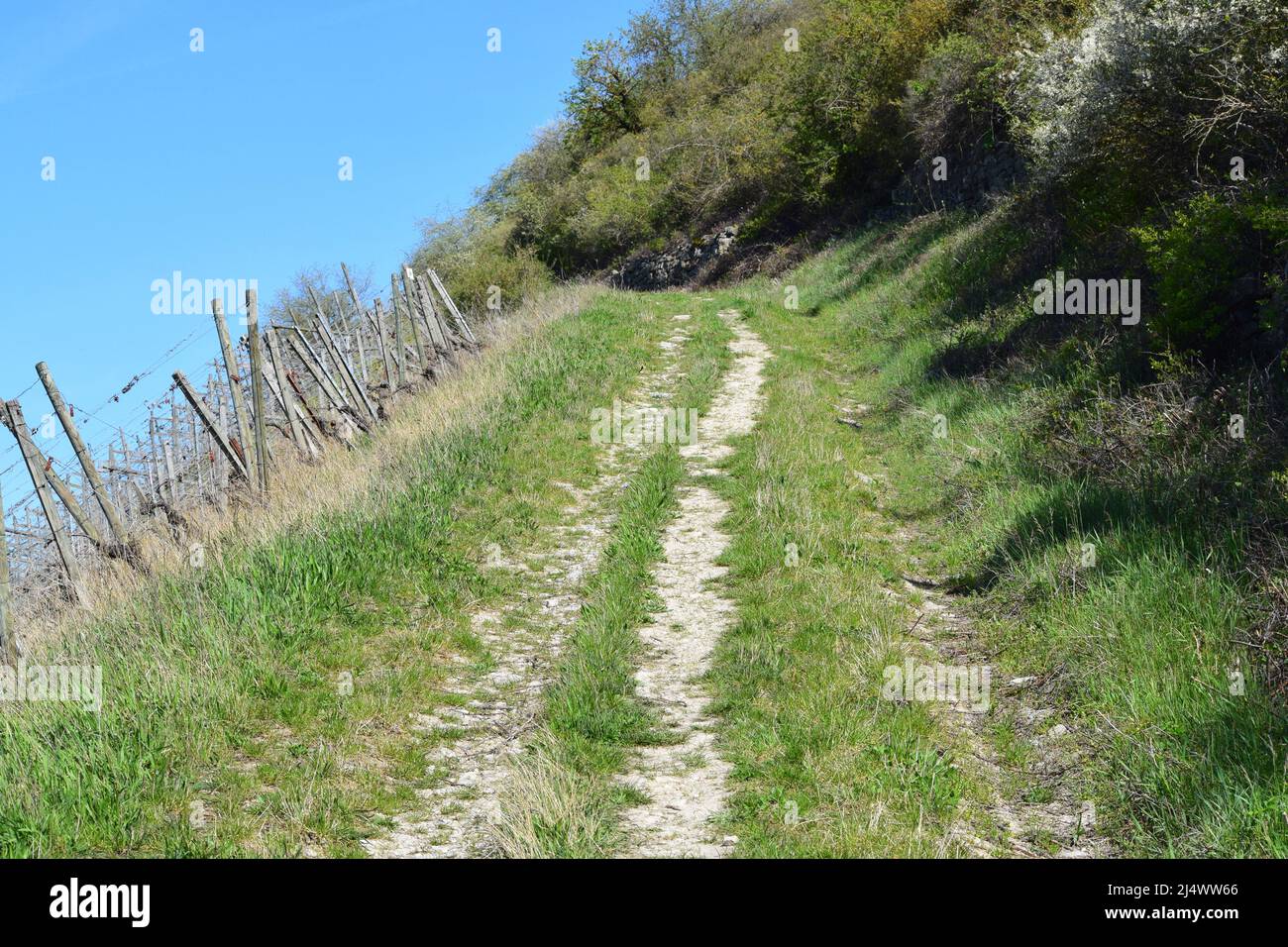 Extremely steep slope hi-res stock photography and images - Alamy