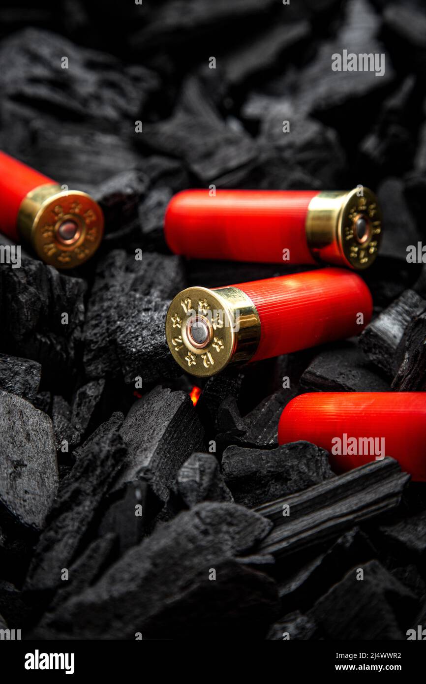 Shotgun cartridges on charcoal. Ammunition for 12 gauge smoothbore ...
