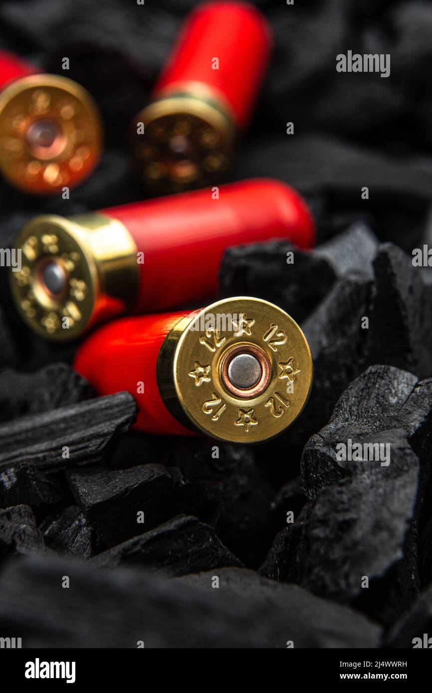 Shotgun Shell Wallpaper