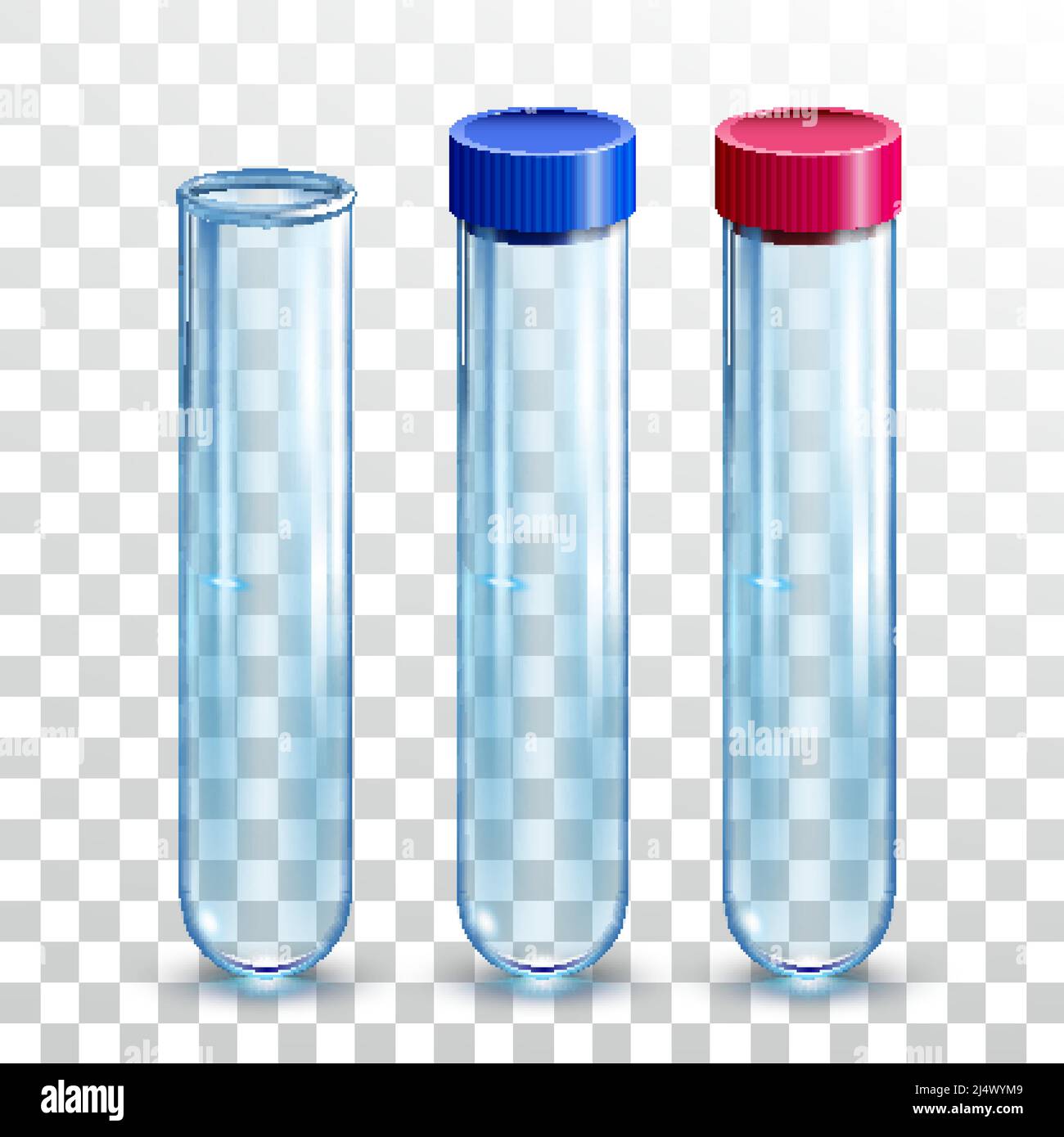 Test Tubes Empty Laboratory Glassware Set Vector Stock Vector Image ...