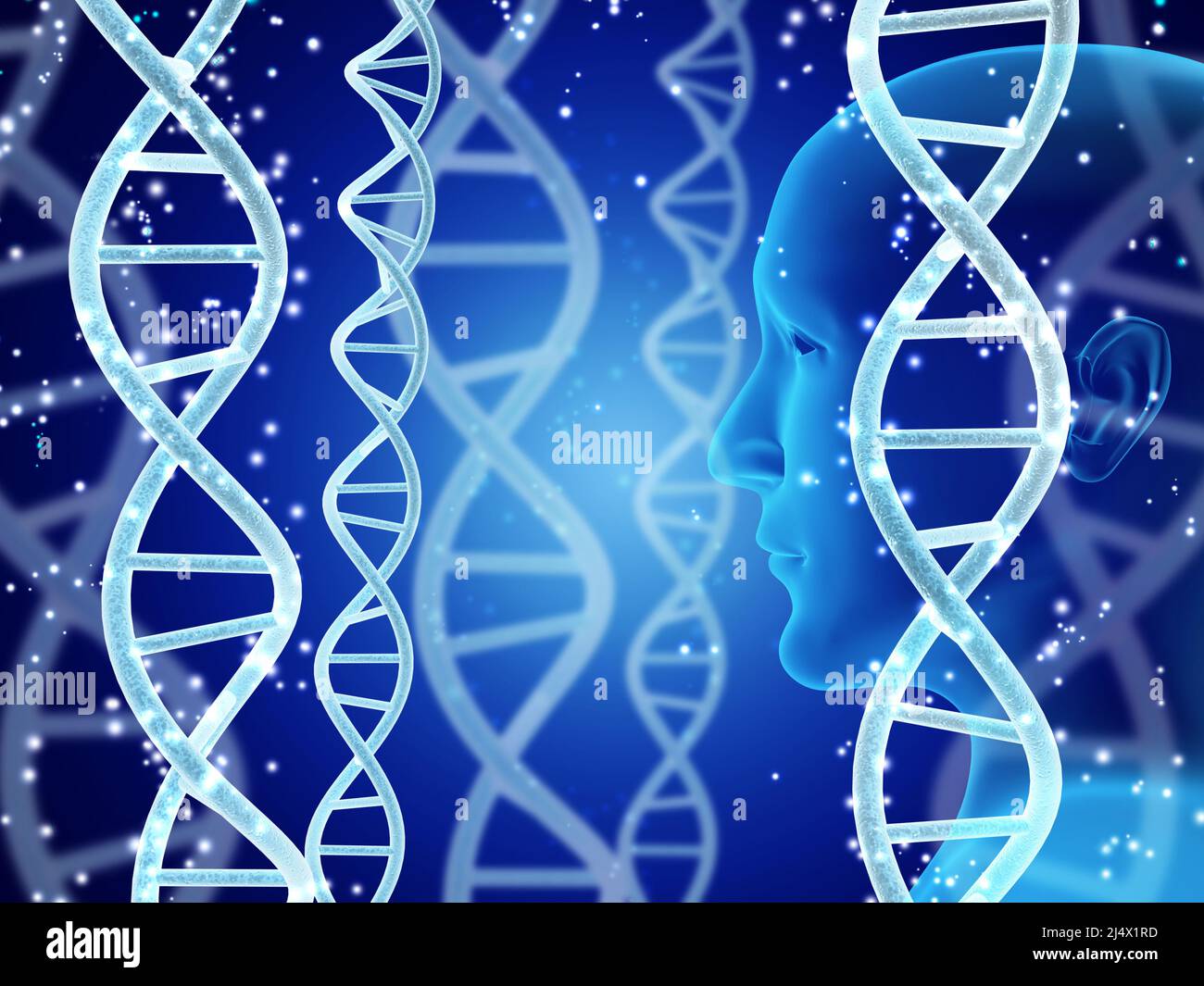 Digital models of DNA structure and human profile on abstract blue ...