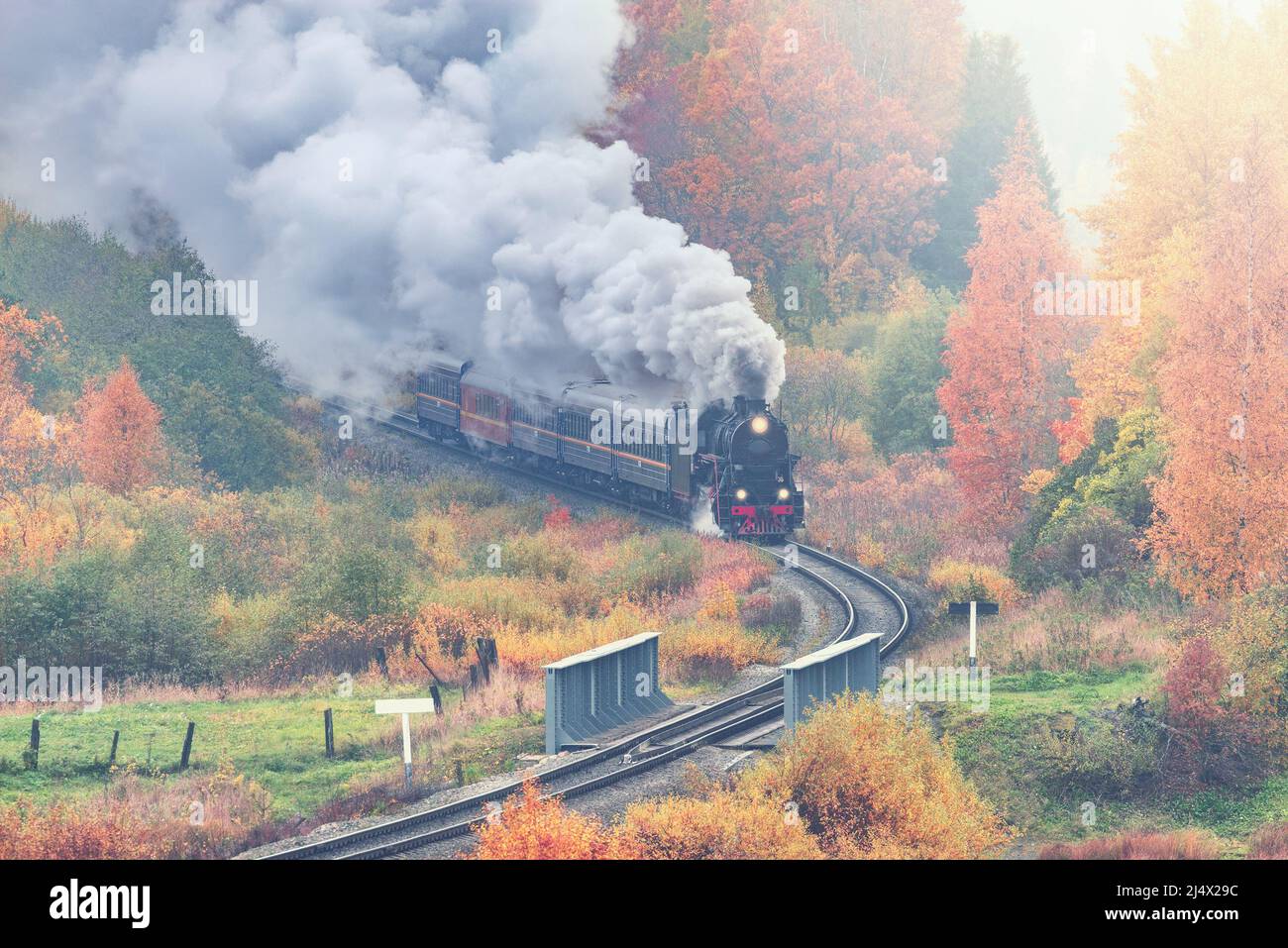 Retro steam train moves along the forest at autumn morning Stock Photo ...