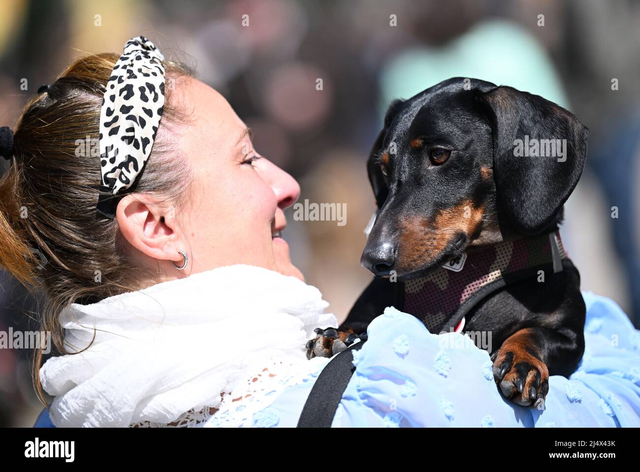 Olympic waldi hi-res stock photography and images - Alamy