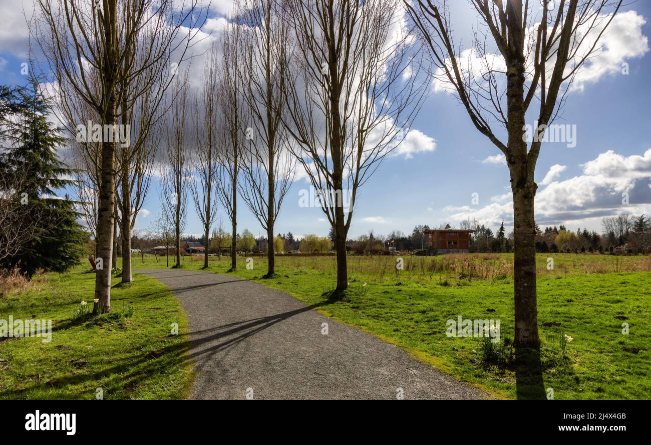 Scenic path in a park with green field and trees in a city Stock Photo ...