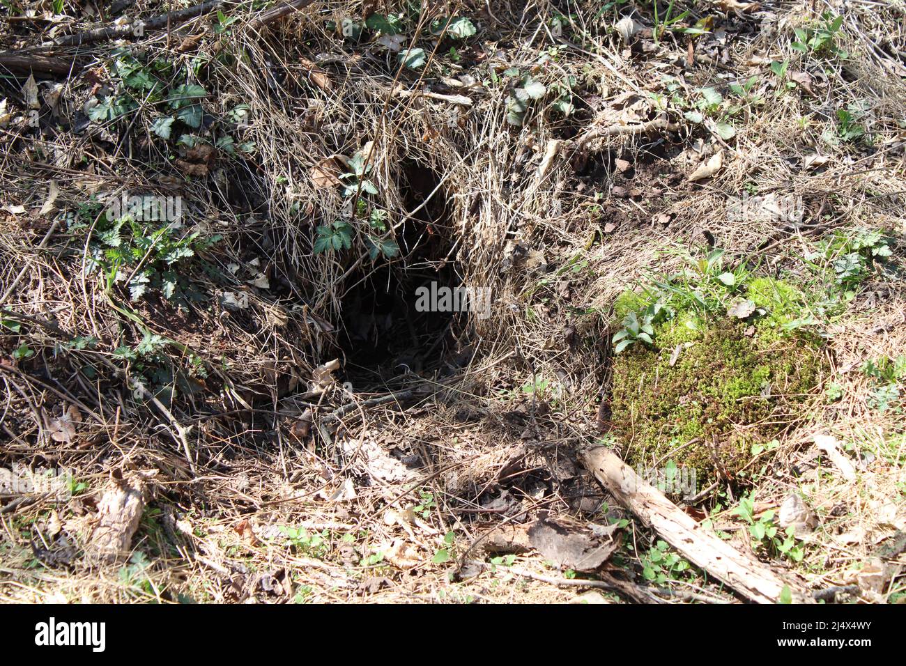 Chuck hole hi-res stock photography and images - Alamy