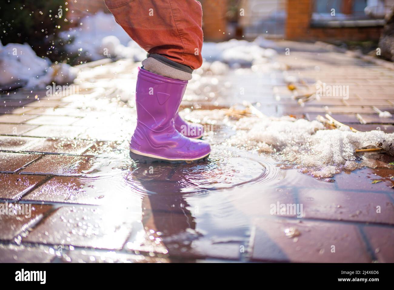 Child jumps on puddles in rubber boots at sunset lights in spring time ...
