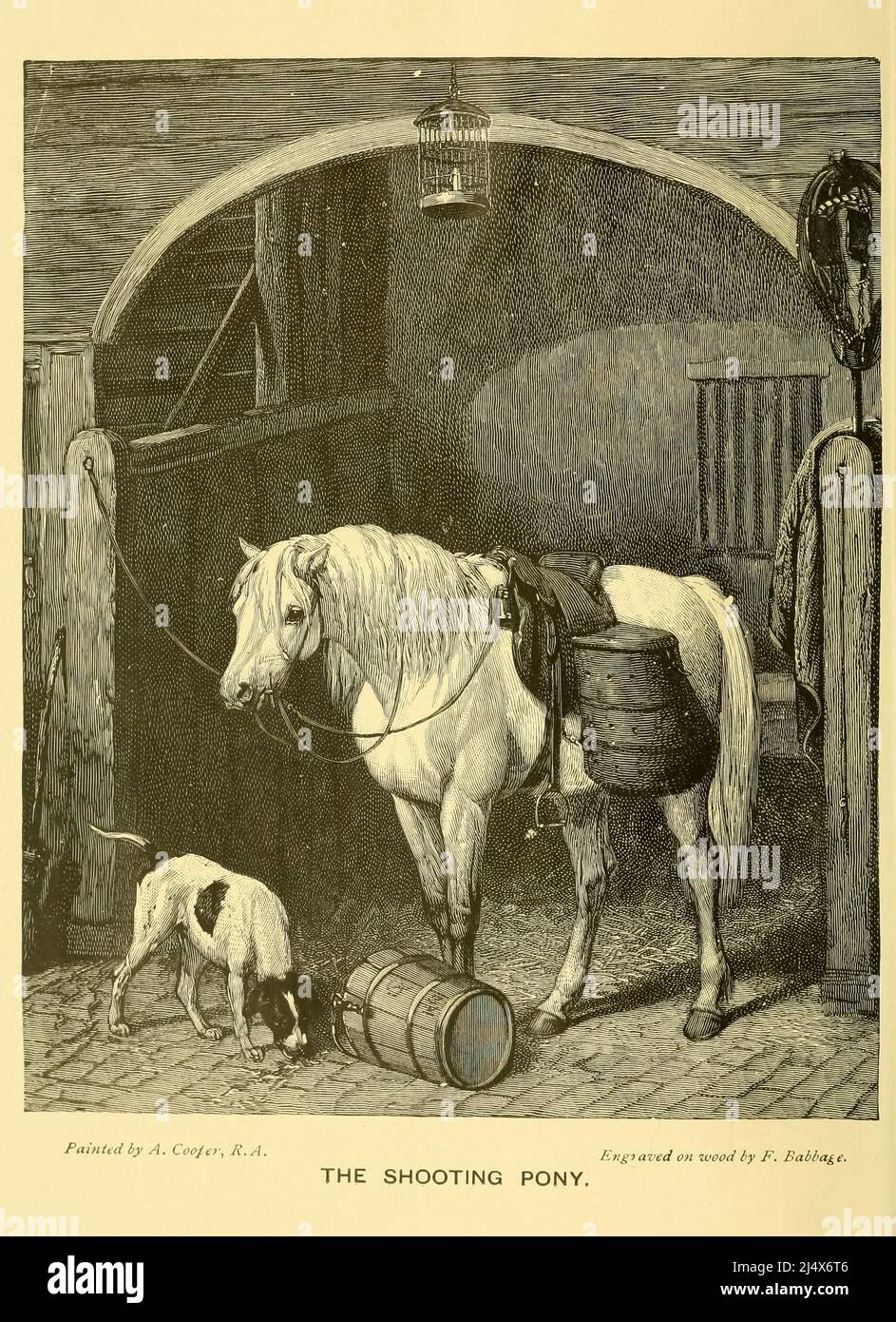 Frontispiece - The Shooting Pony from the book Thoroughbred and other ...