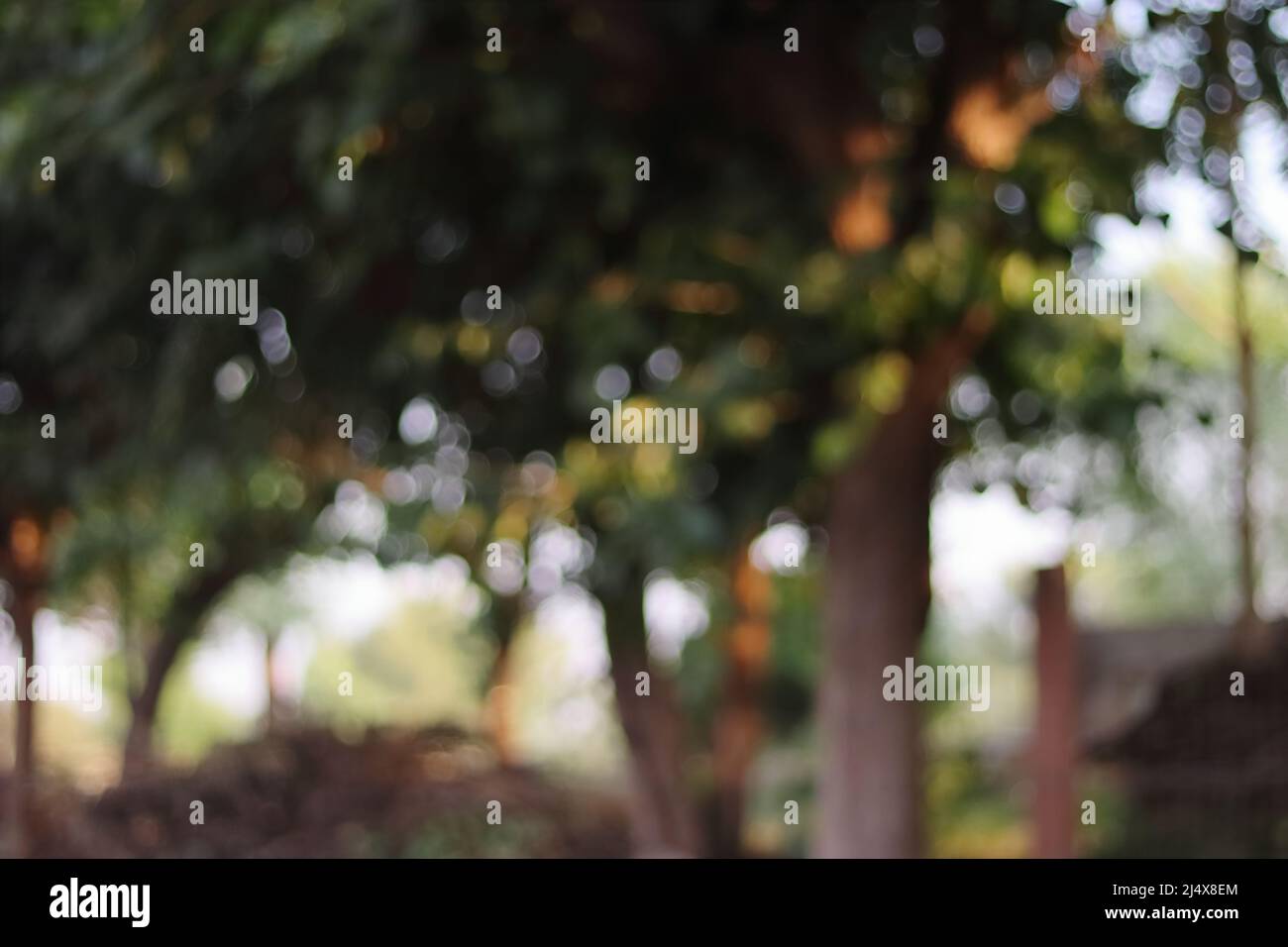 Defocused background hi-res stock photography and images - Alamy
