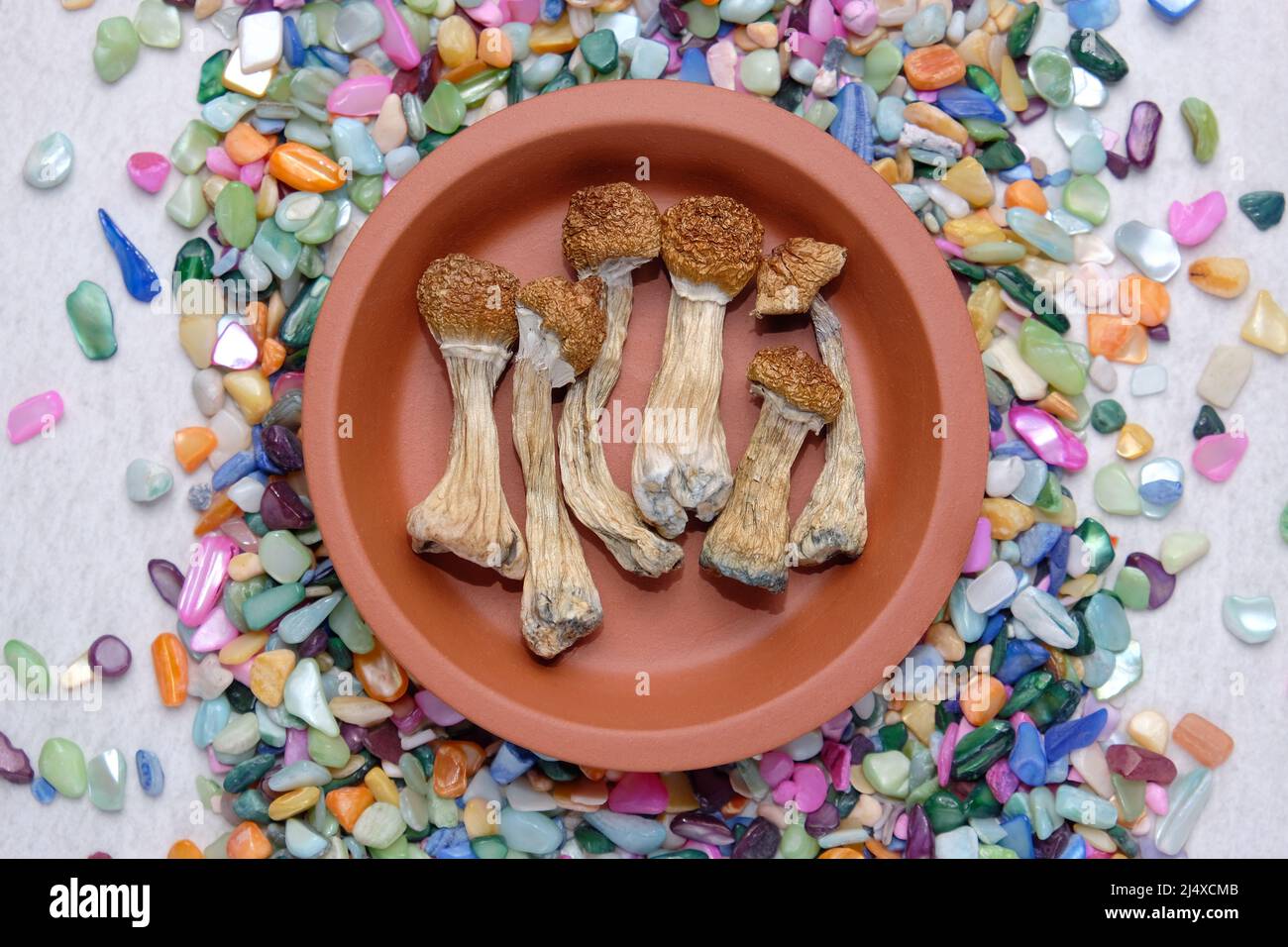 Psychedelic psilocybin mushrooms on white background, micro-dosing ...