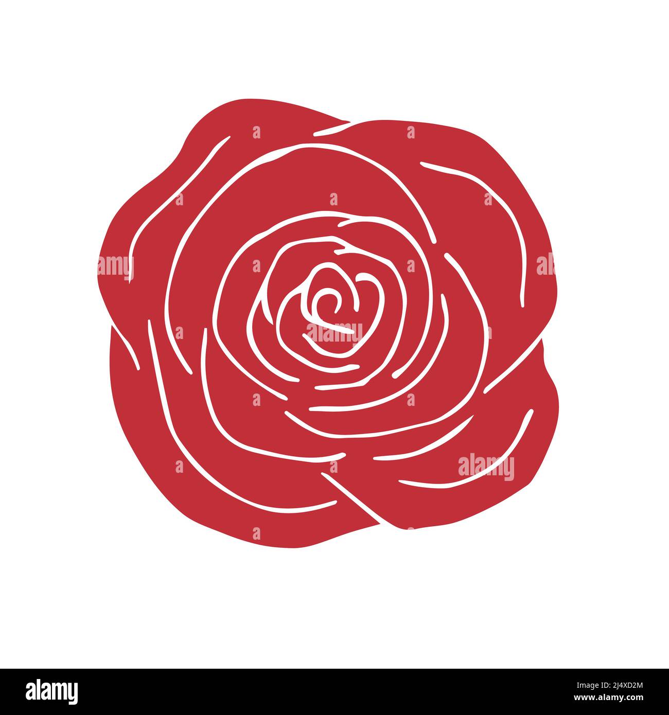 Vector hand drawn doodle sketch red rose flower isolated on white ...