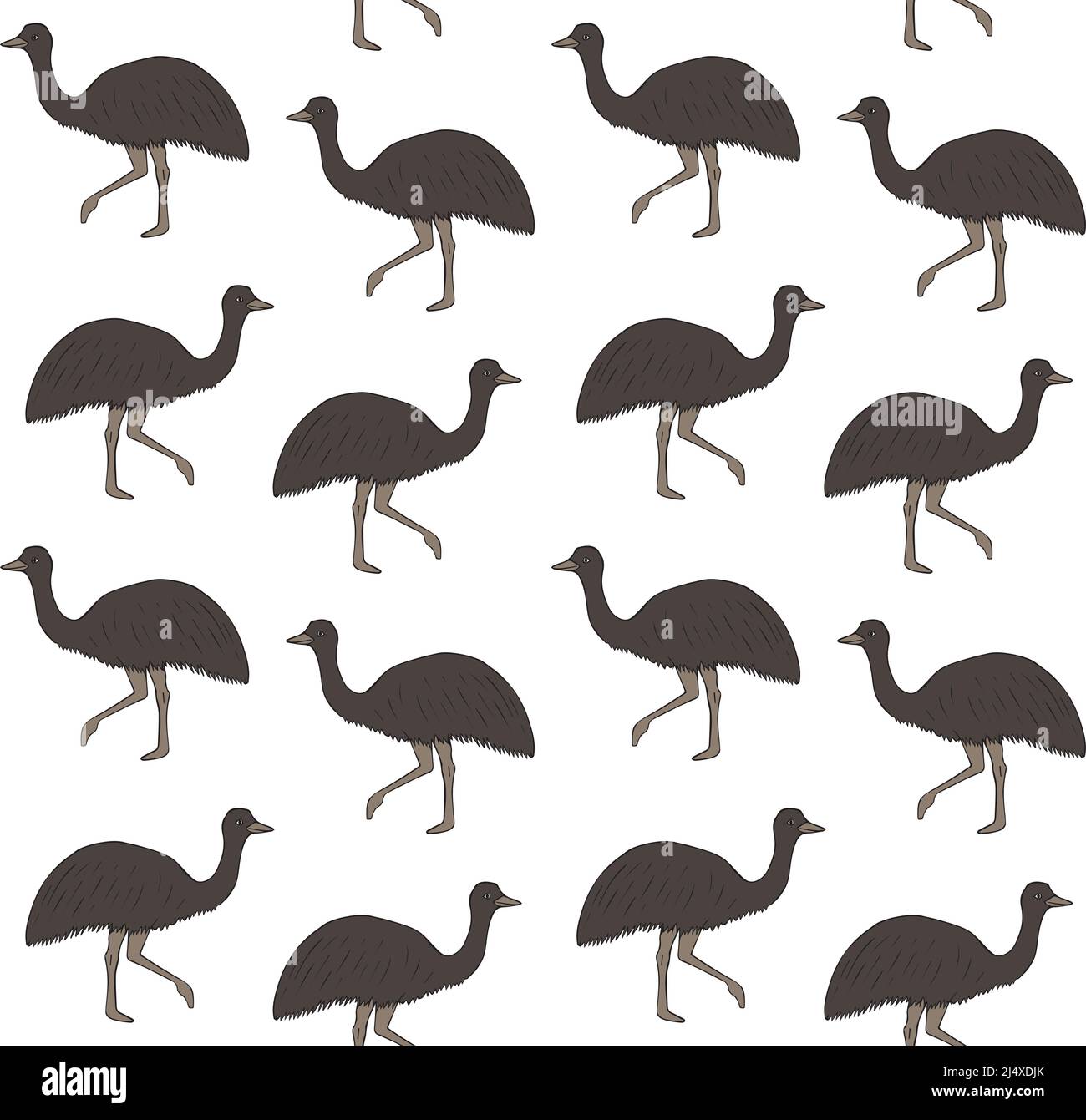 Vector seamless pattern of hand drawn emu ostrich Stock Vector Image ...