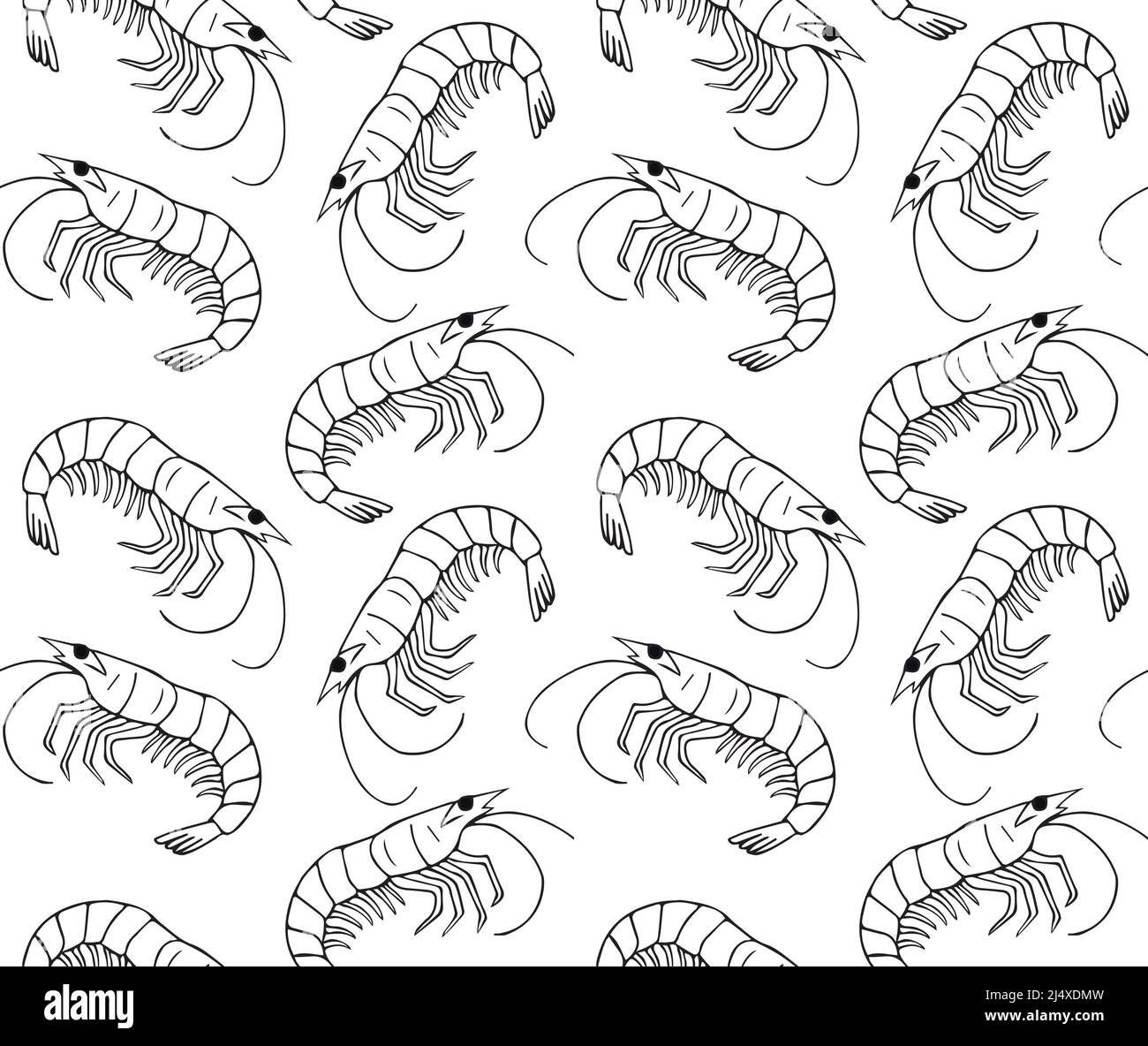 Vector seamless pattern of hand drawn shrimp Stock Vector Image & Art ...