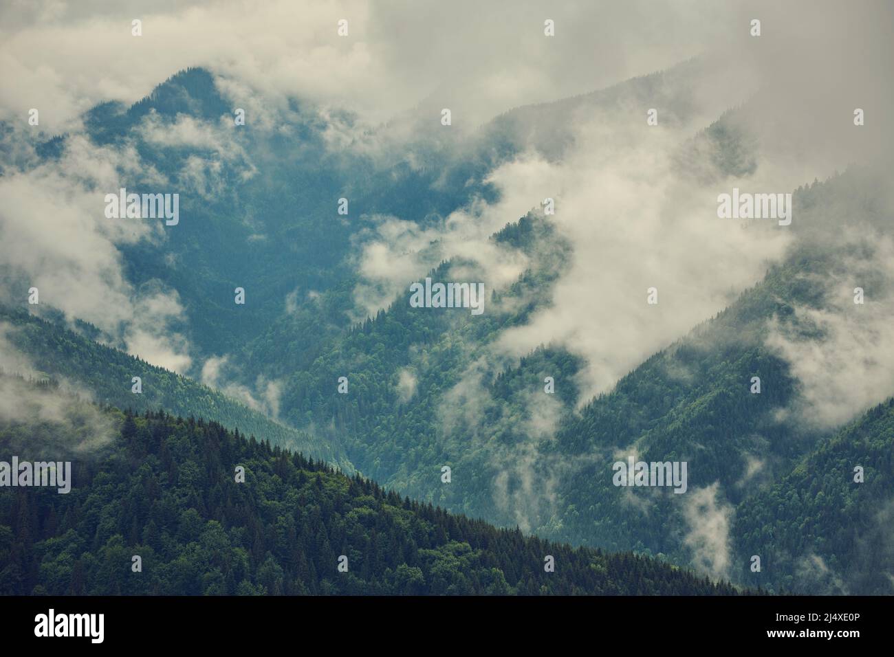 Majestic view on beautiful fog mountains in mist landscape. Dramatic ...