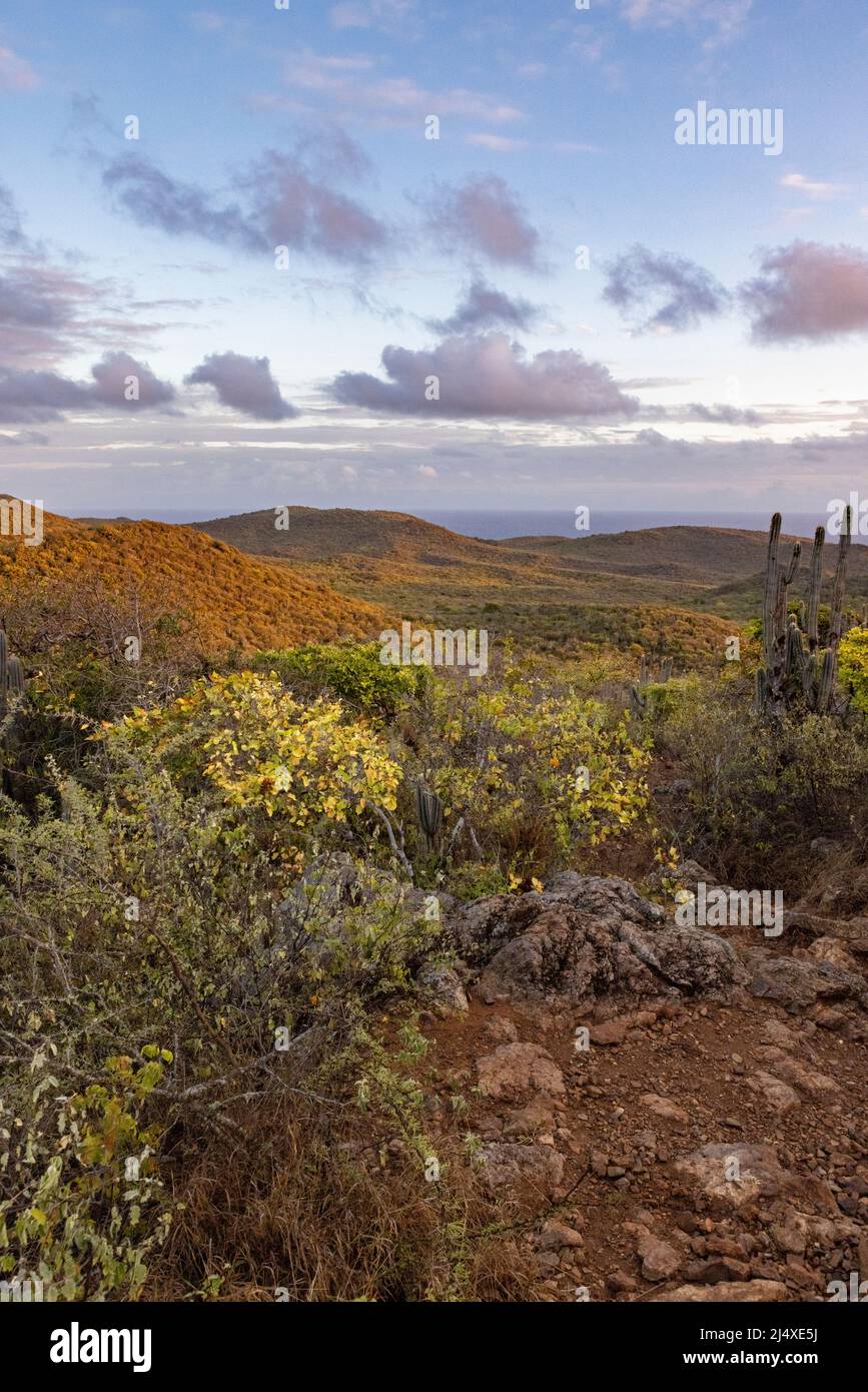 Sunrise over Christoffel National Park during the hike up to the top of ...