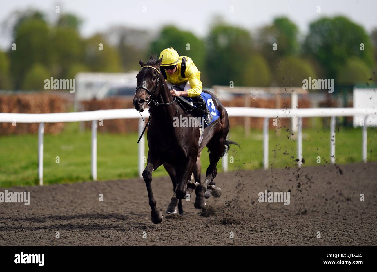 Tom marquand kempton 2022 hi-res stock photography and images - Alamy