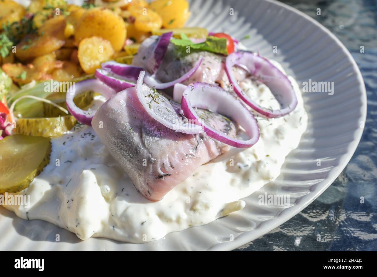 Fresh matjes or soused herring on an apple cream sauce, traditional ...