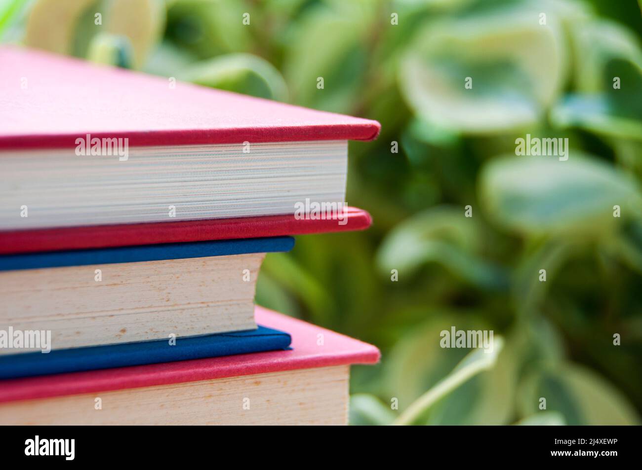 Stack of books with blurred nature background. Copy space Stock Photo ...