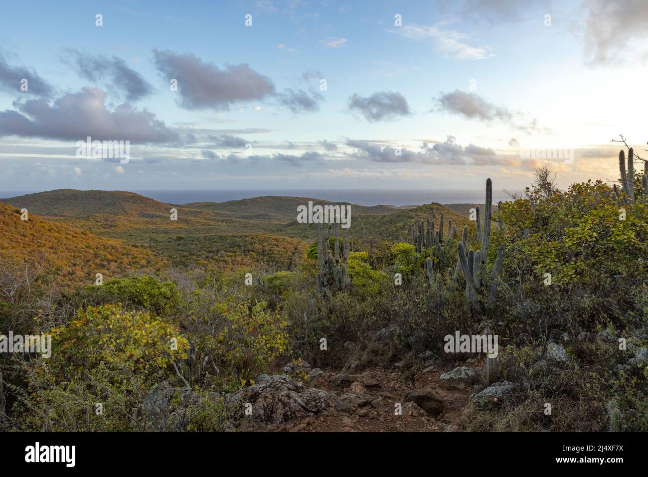 Sunrise over Christoffel National Park during the hike up to the top of ...