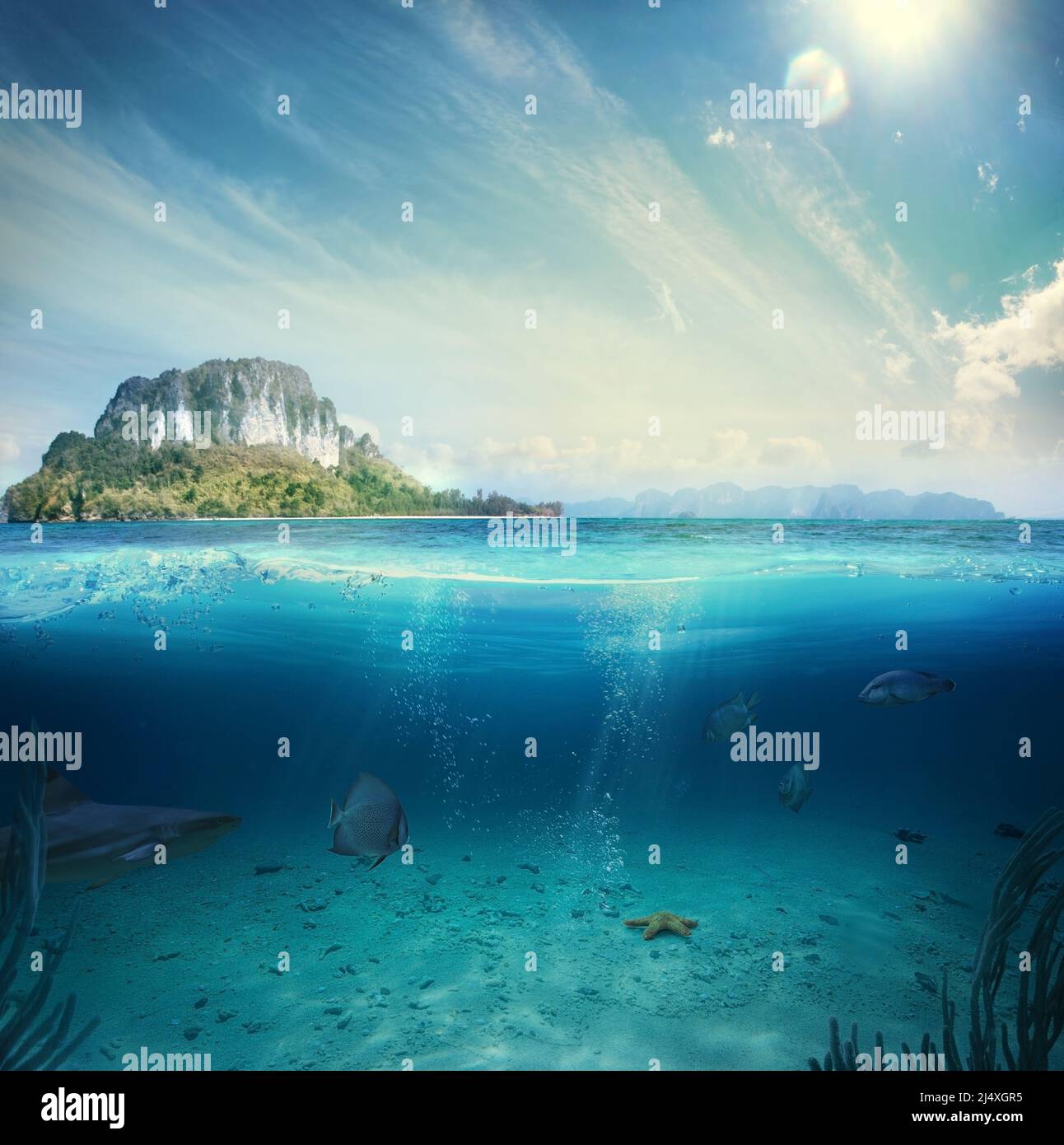 Sea background. Design template with underwater part Stock Photo - Alamy